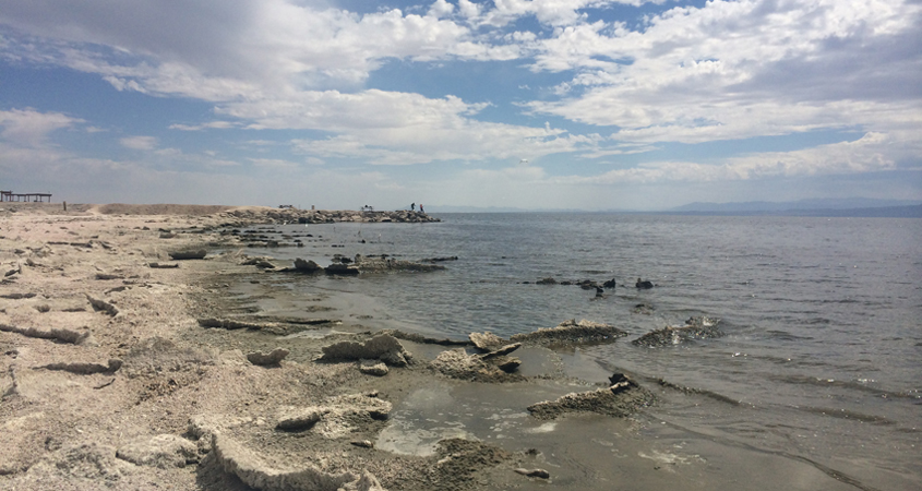 Proposition 68 Brings Critical Funding for Salton Sea and Sends Message ...
