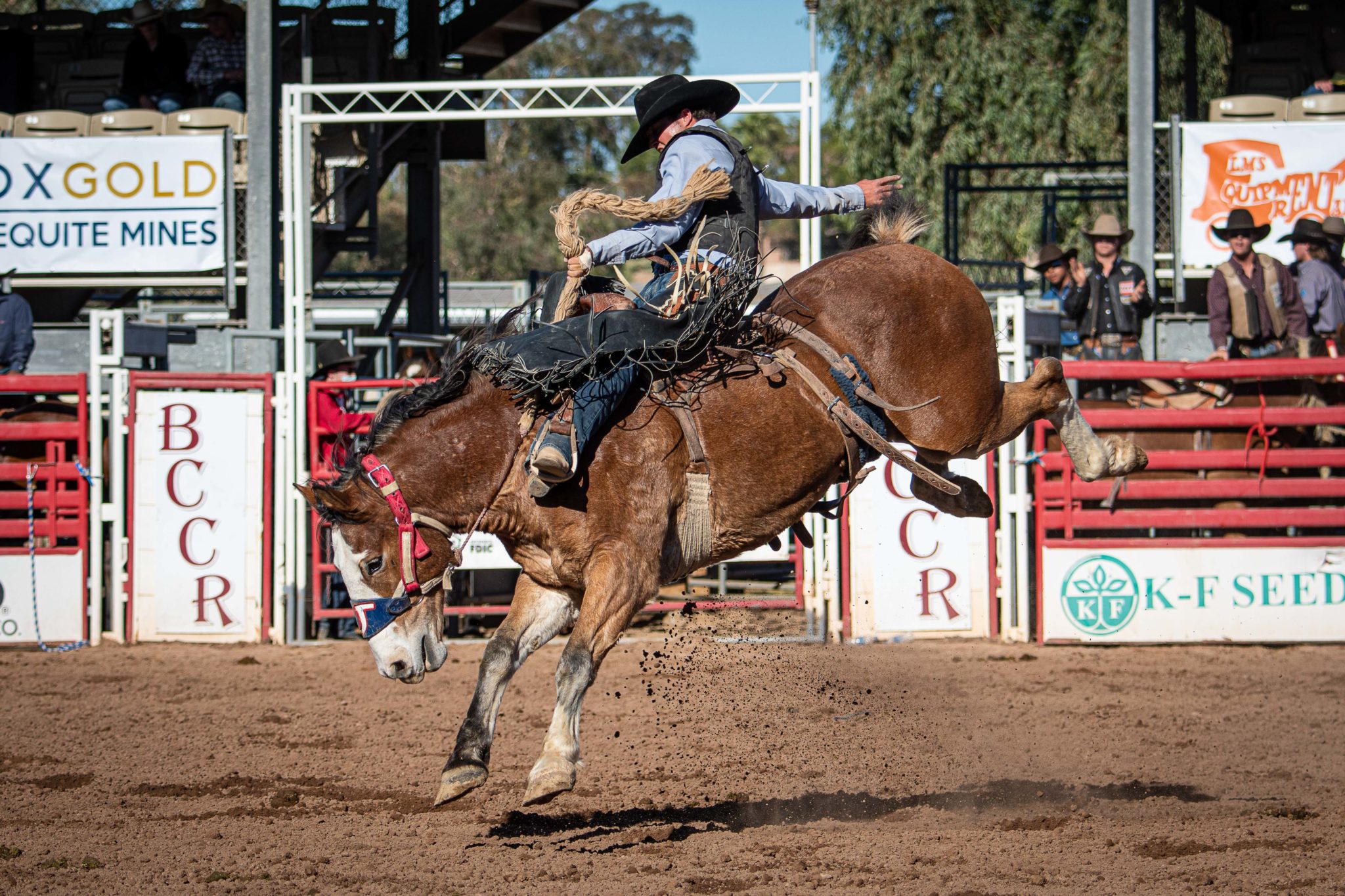 The 2021 Cattle Call Rodeo Will Once Again Be Open to Spectators as a ...