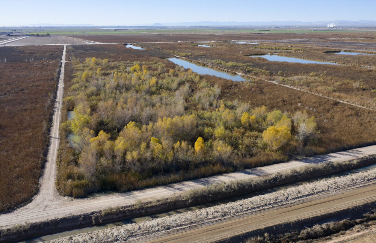 The QSA JPA-funded Managed Marsh Nears Its Completion With Final ...