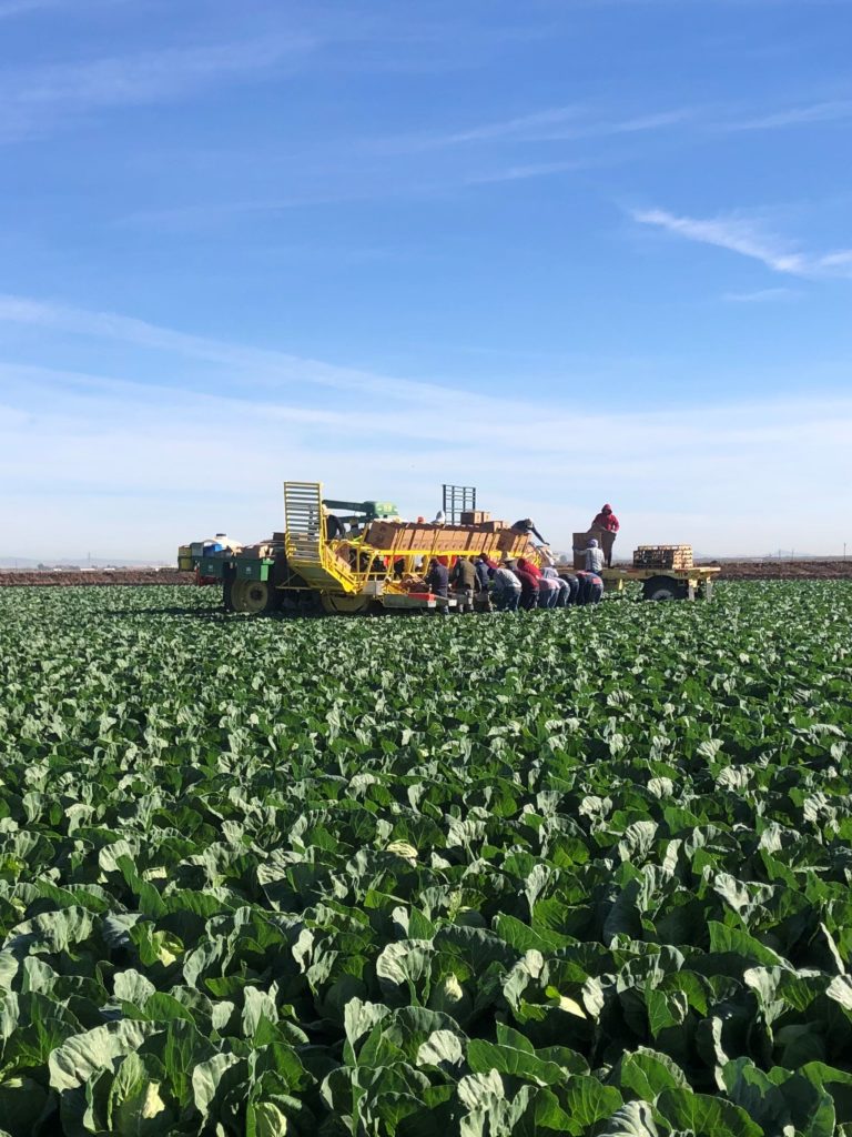 A Fourth-Generation Farming Family Celebrates a Centennial | Imperial ...